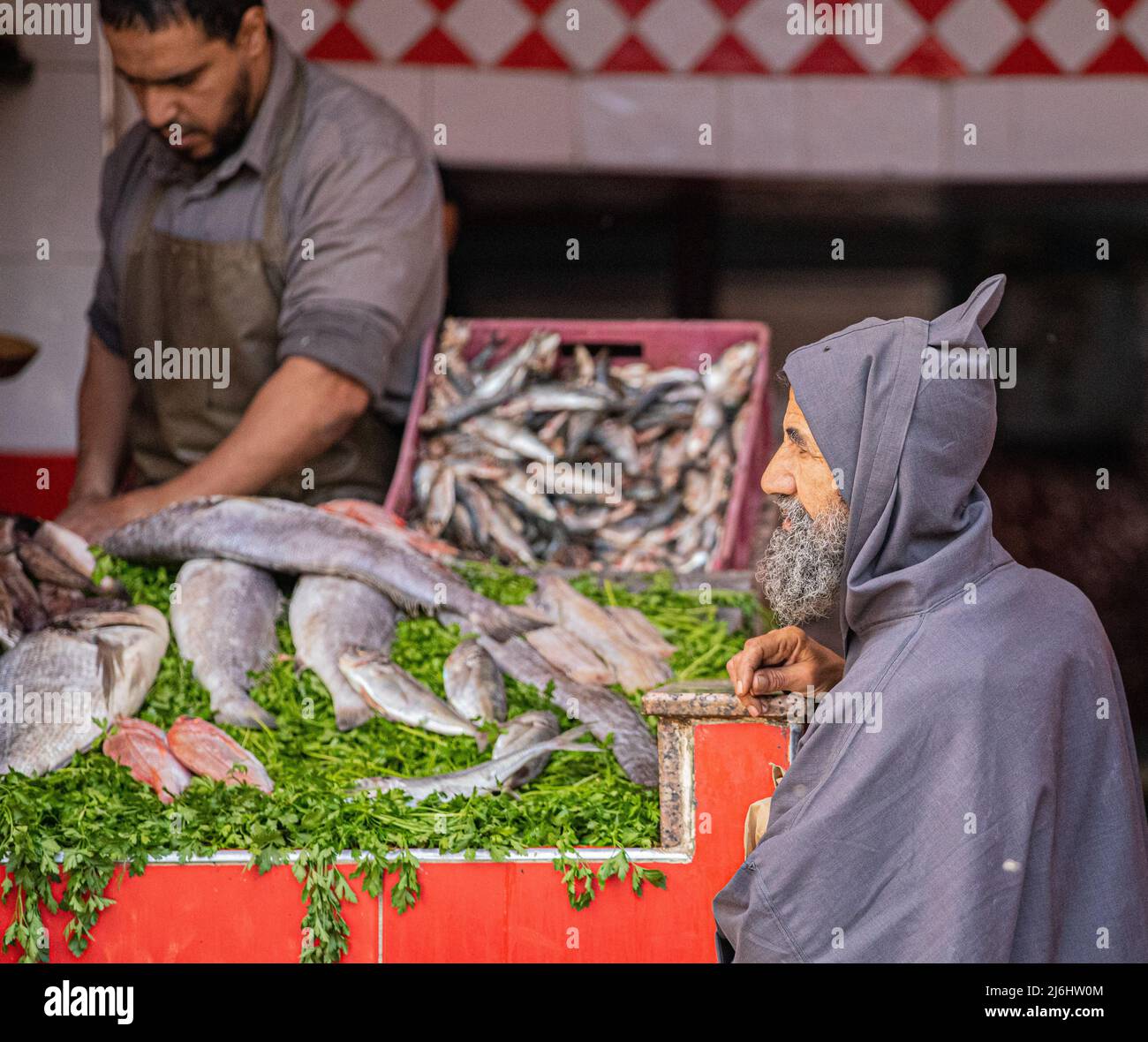 People of Marrakesh, Morocco and Agafay desert Stock Photo - Alamy