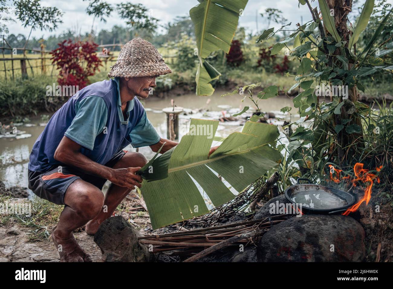 Rural daily life at the village near Ubud, Ubud District, Bali ...