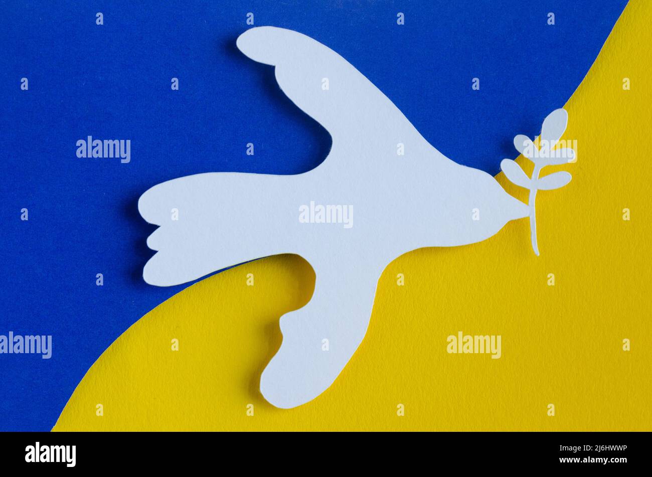 White paper dove with olive branch on Ukrainian flag. Copy space Stock ...