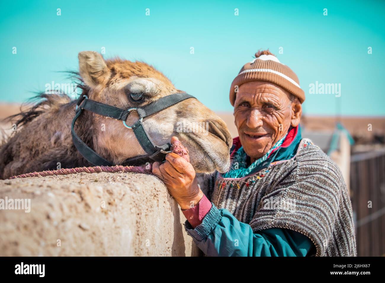 People of Marrakesh, Morocco and Agafay desert Stock Photo - Alamy