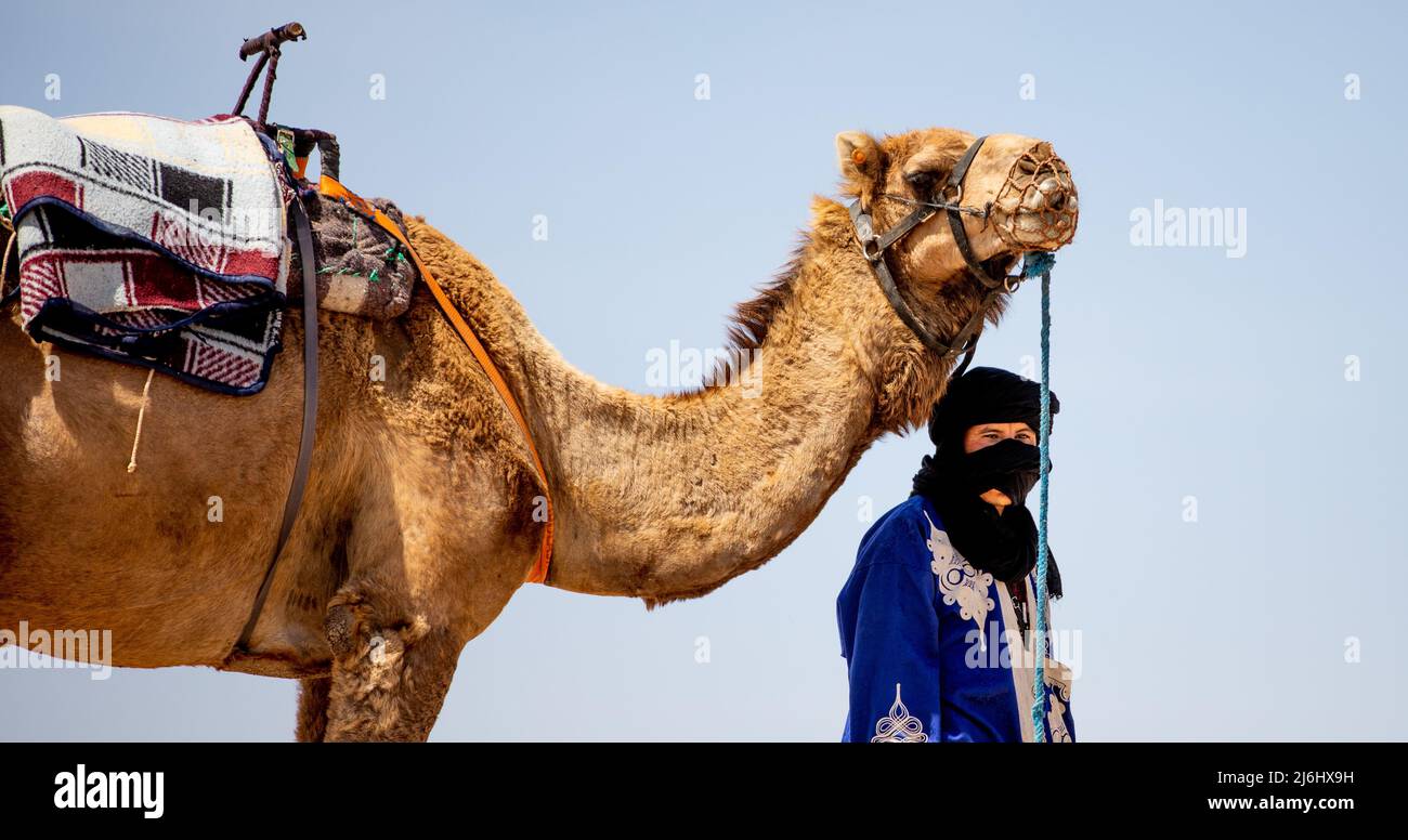 People of Marrakesh, Morocco and Agafay desert Stock Photo - Alamy