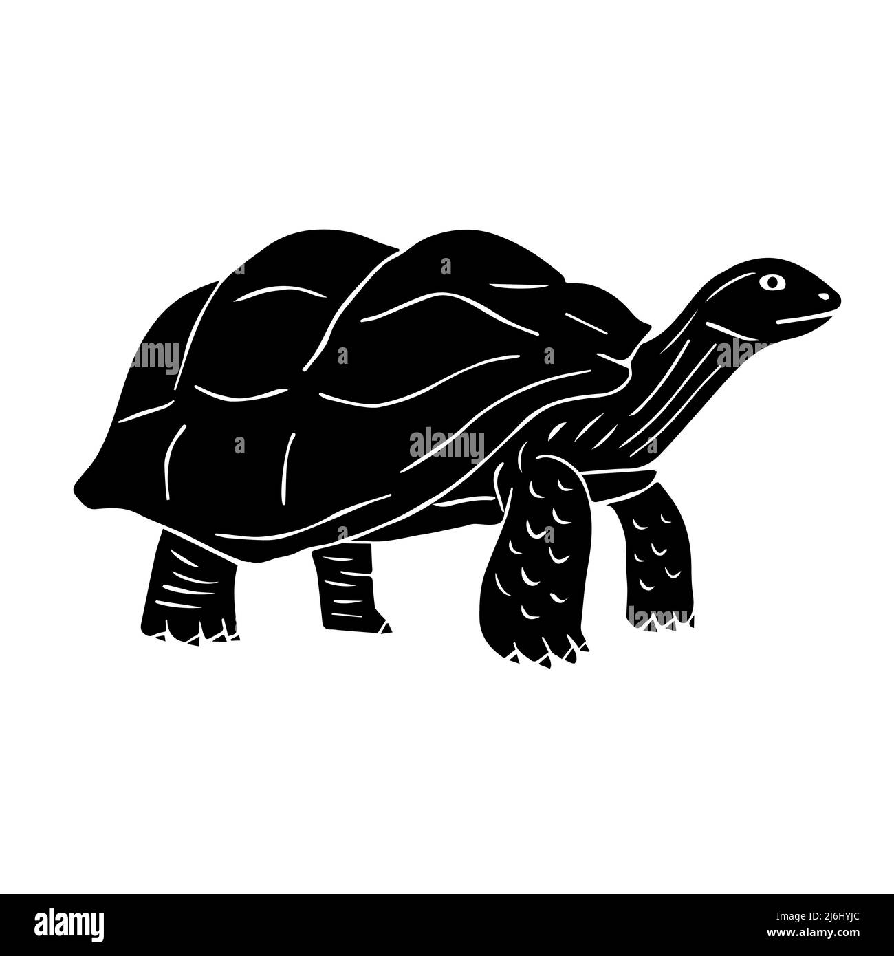 Vector hand drawn doodle sketch black turtle isolated on white ...