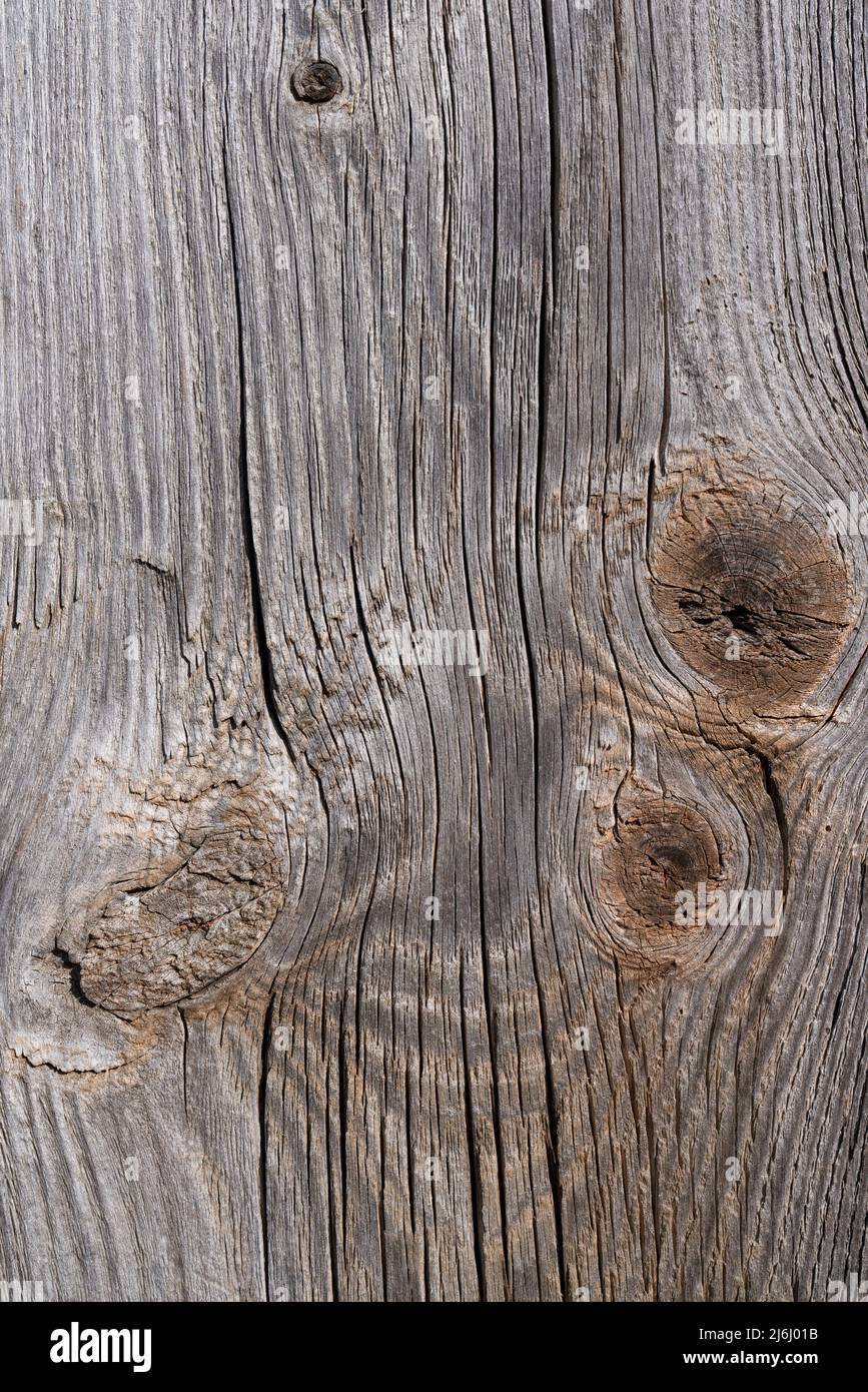 Wooden background gray brown. Wood texture with a fibrous uneven ...