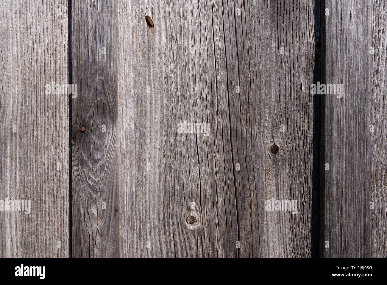 Wooden background gray brown. Wood texture with a fibrous uneven ...