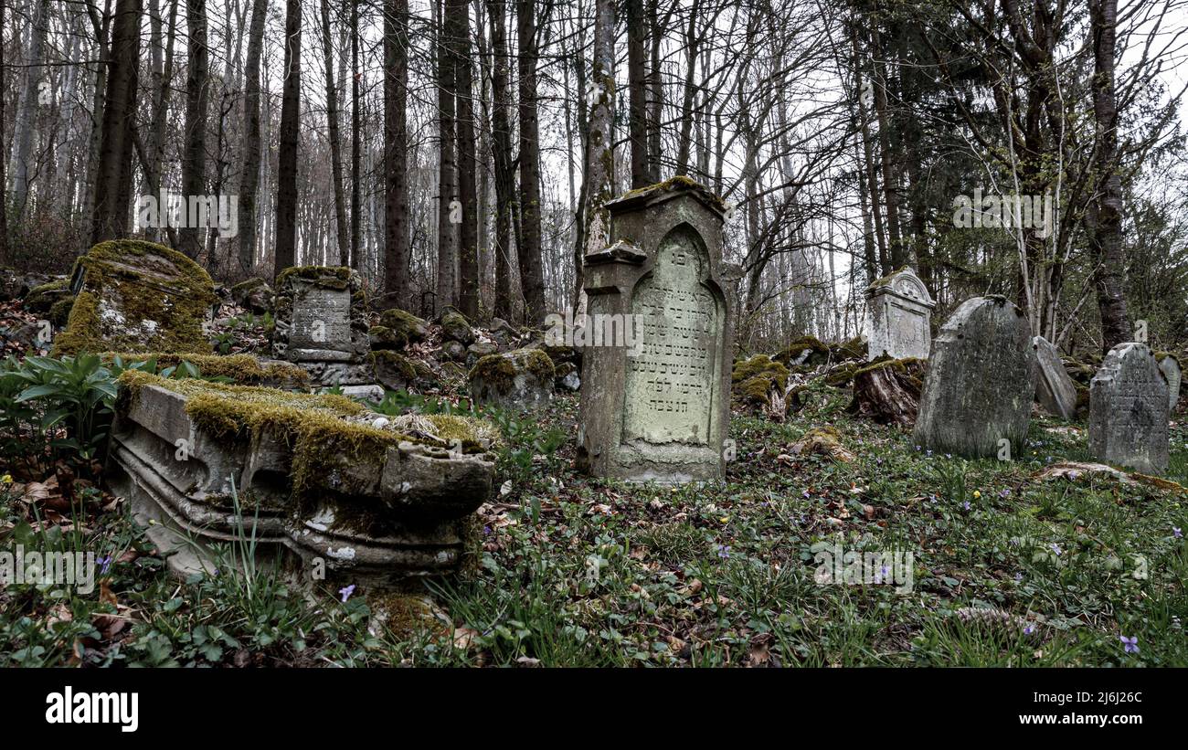 Old abanded jewish graveyard in a forest in Thuringia Stock Photo - Alamy