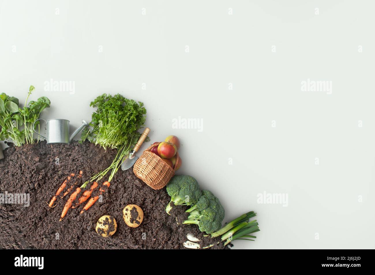 Circular vegetable patch hi-res stock photography and images - Alamy