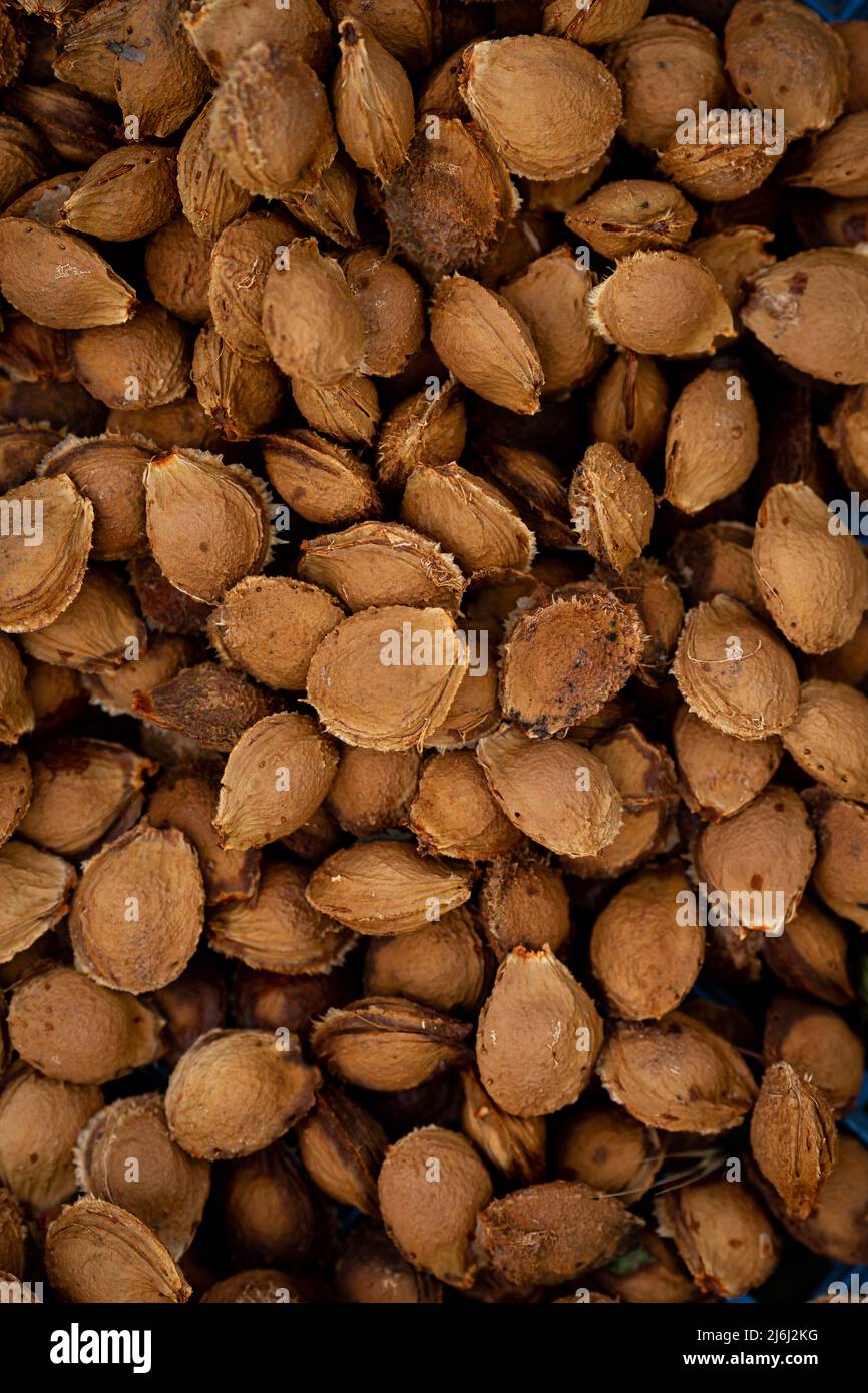 Overhead view of apricots kernel food background Stock Photo - Alamy