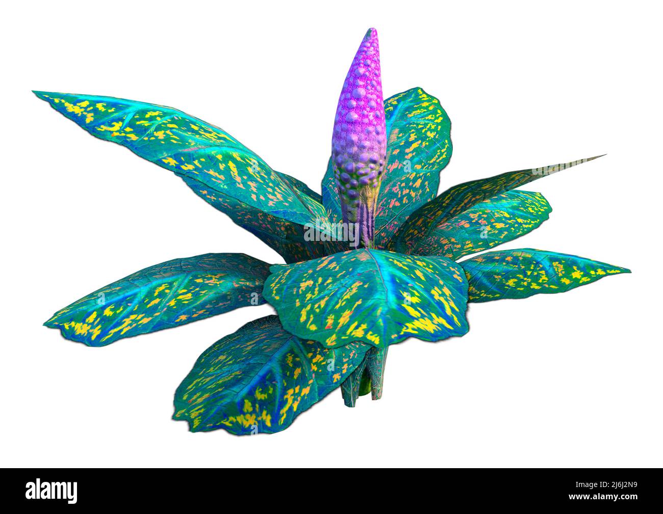 3D rendering of a fantasy alien plant isolated on white background ...