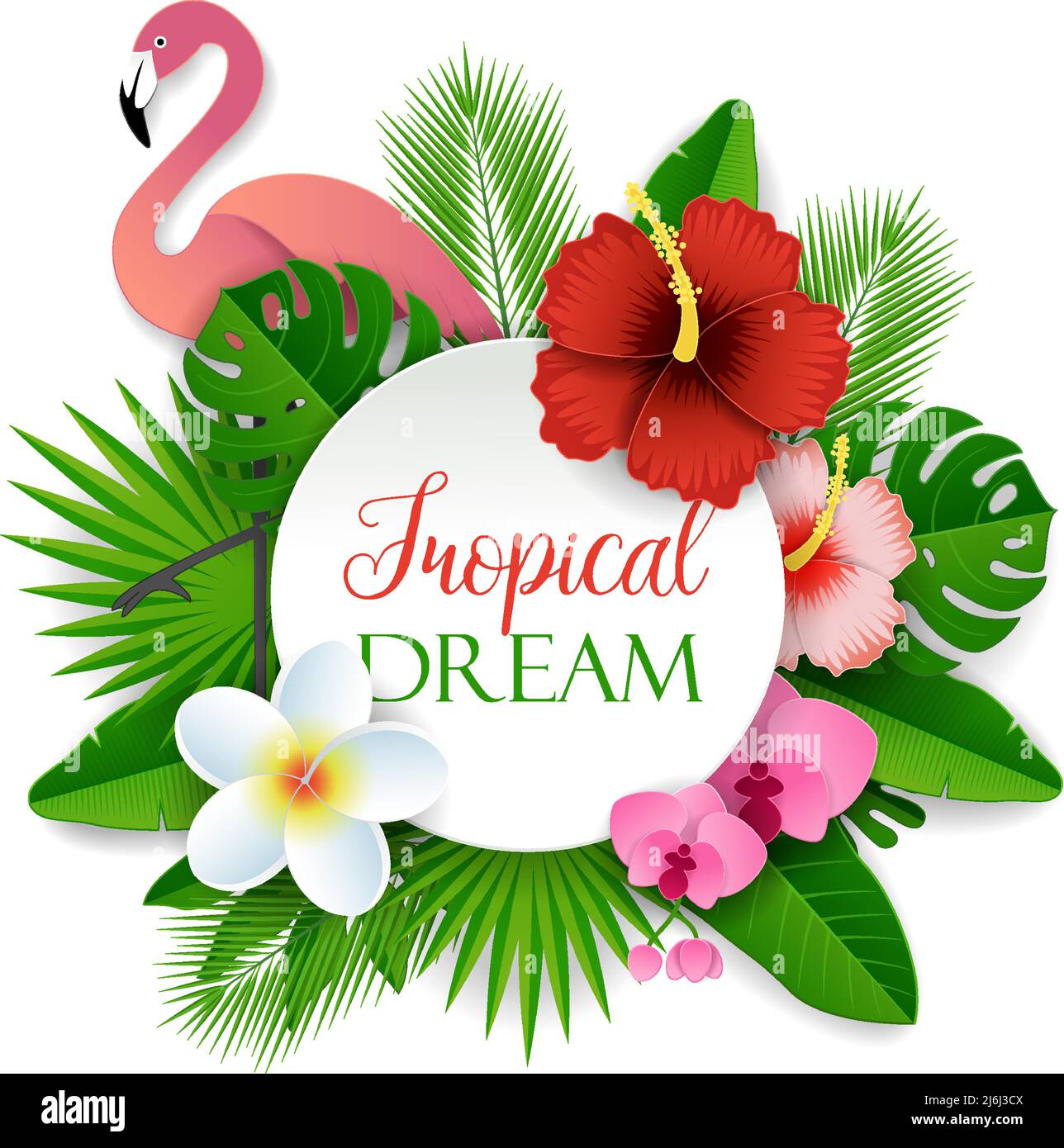 Flamingo illustration cut hi-res stock photography and images - Alamy