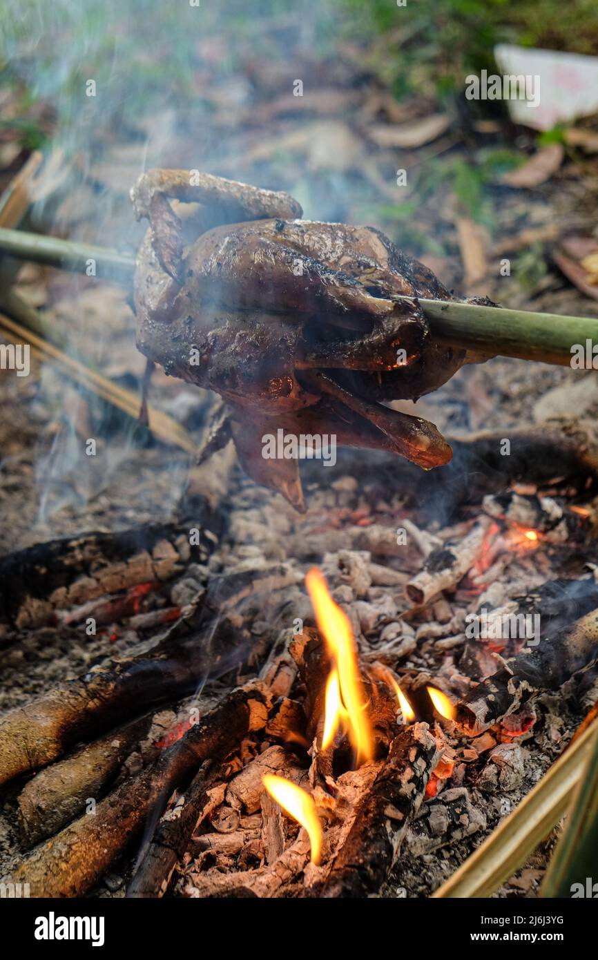 Chicken grilled on fire outdoor local camping forest with smoke Stock ...