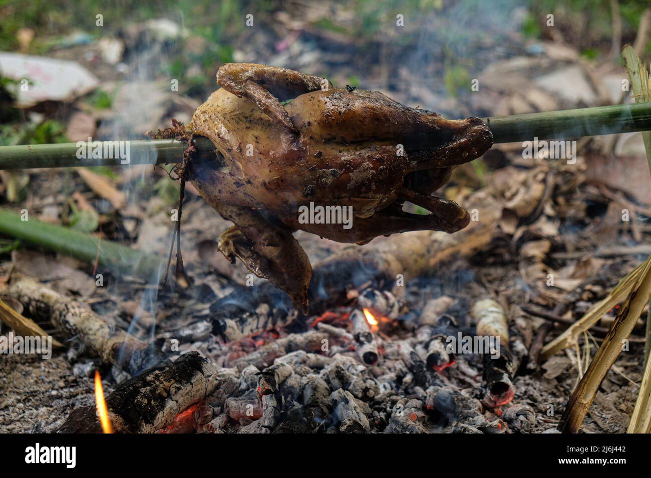 Chicken grilled on fire outdoor local camping forest with smoke Stock ...