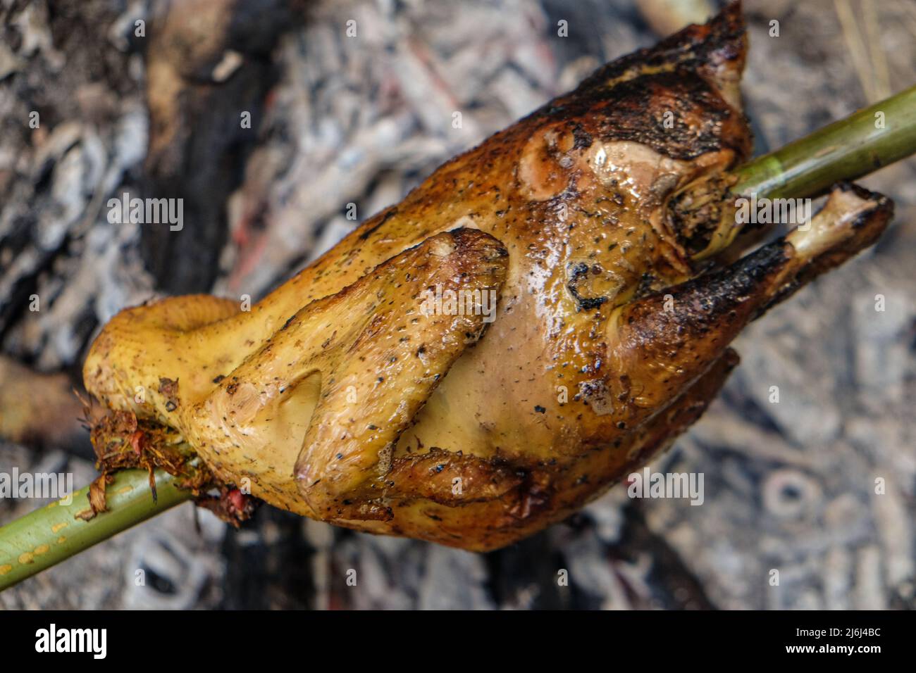 Chicken grilled on fire outdoor local camping forest with smoke Stock ...
