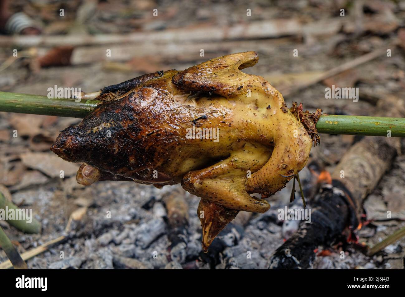 Chicken grilled on fire outdoor local camping forest with smoke Stock ...