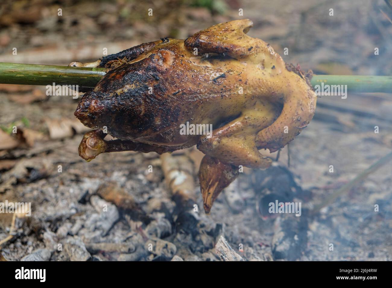 Chicken grilled on fire outdoor local camping forest with smoke Stock ...
