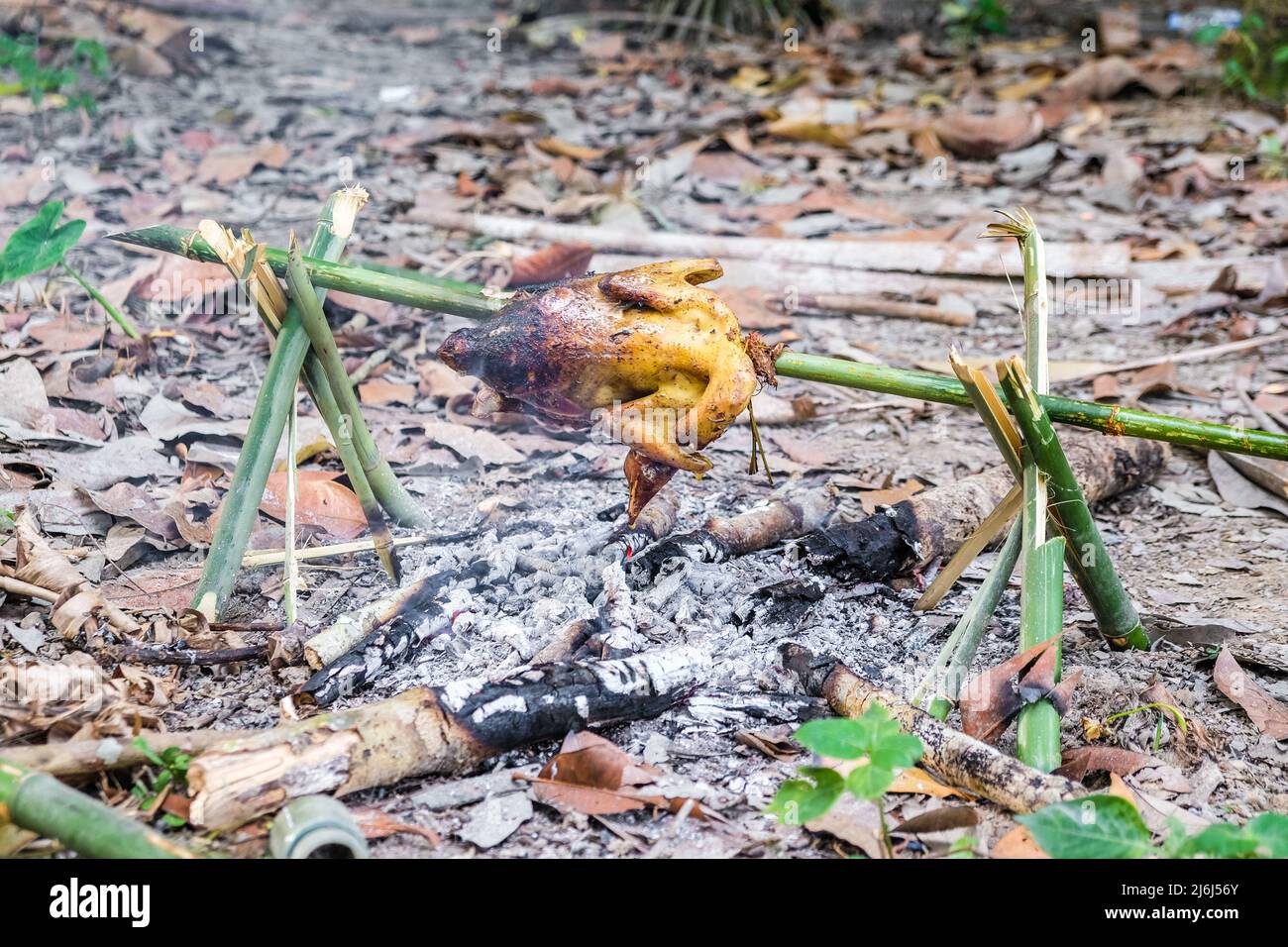 Chicken grilled on fire outdoor local camping forest with smoke Stock ...