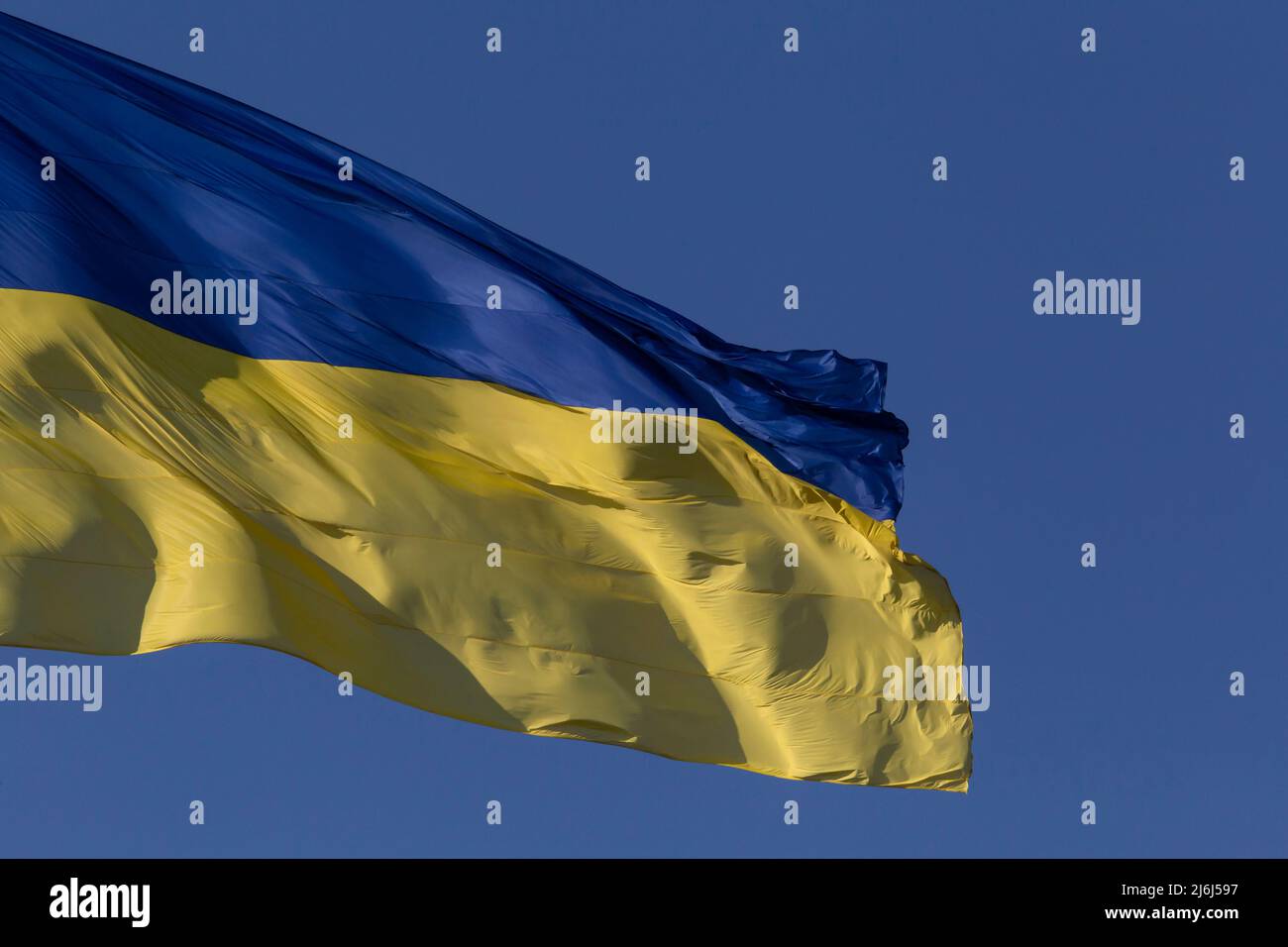 Ukrainian flag waving wind against hi-res stock photography and images ...