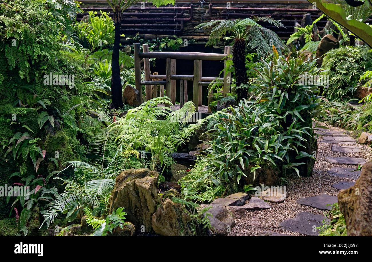 Morris Arboretum Fernery