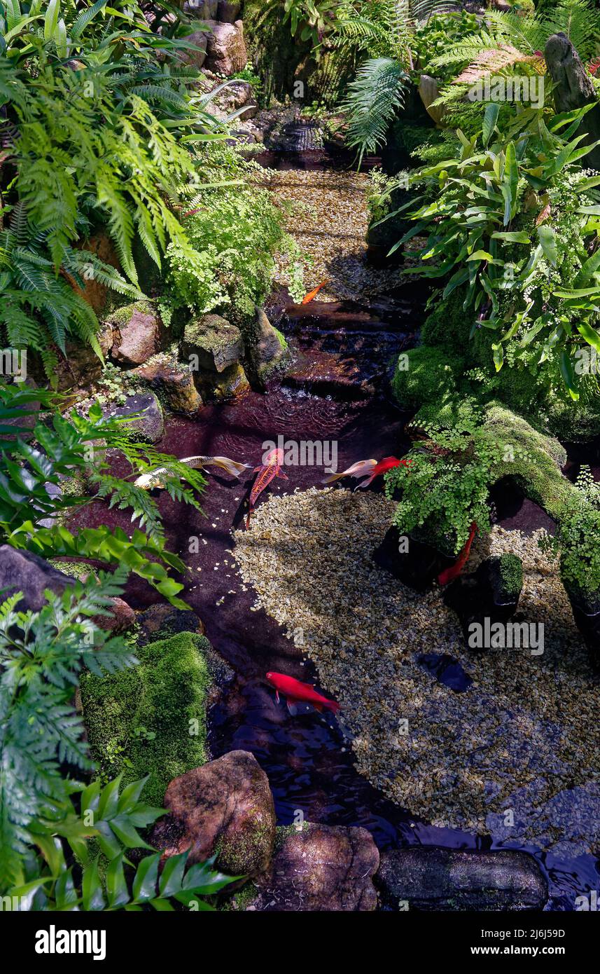 Dorrance hamilton fernery hi-res stock photography and images - Alamy