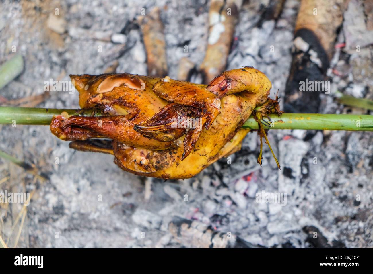 Chicken grilled on fire outdoor local camping forest with smoke Stock ...