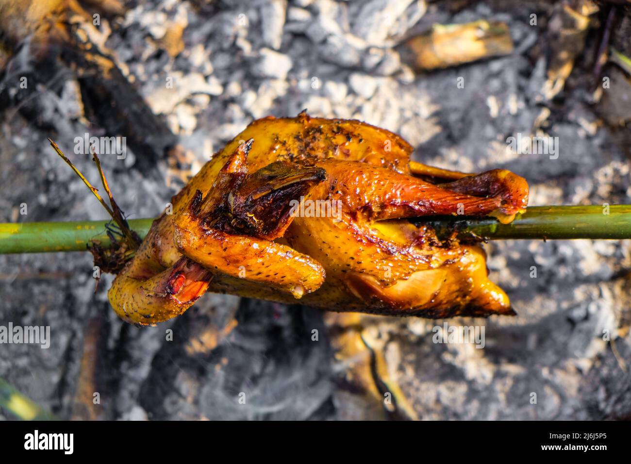 Chicken grilled on fire outdoor local camping forest with smoke Stock ...