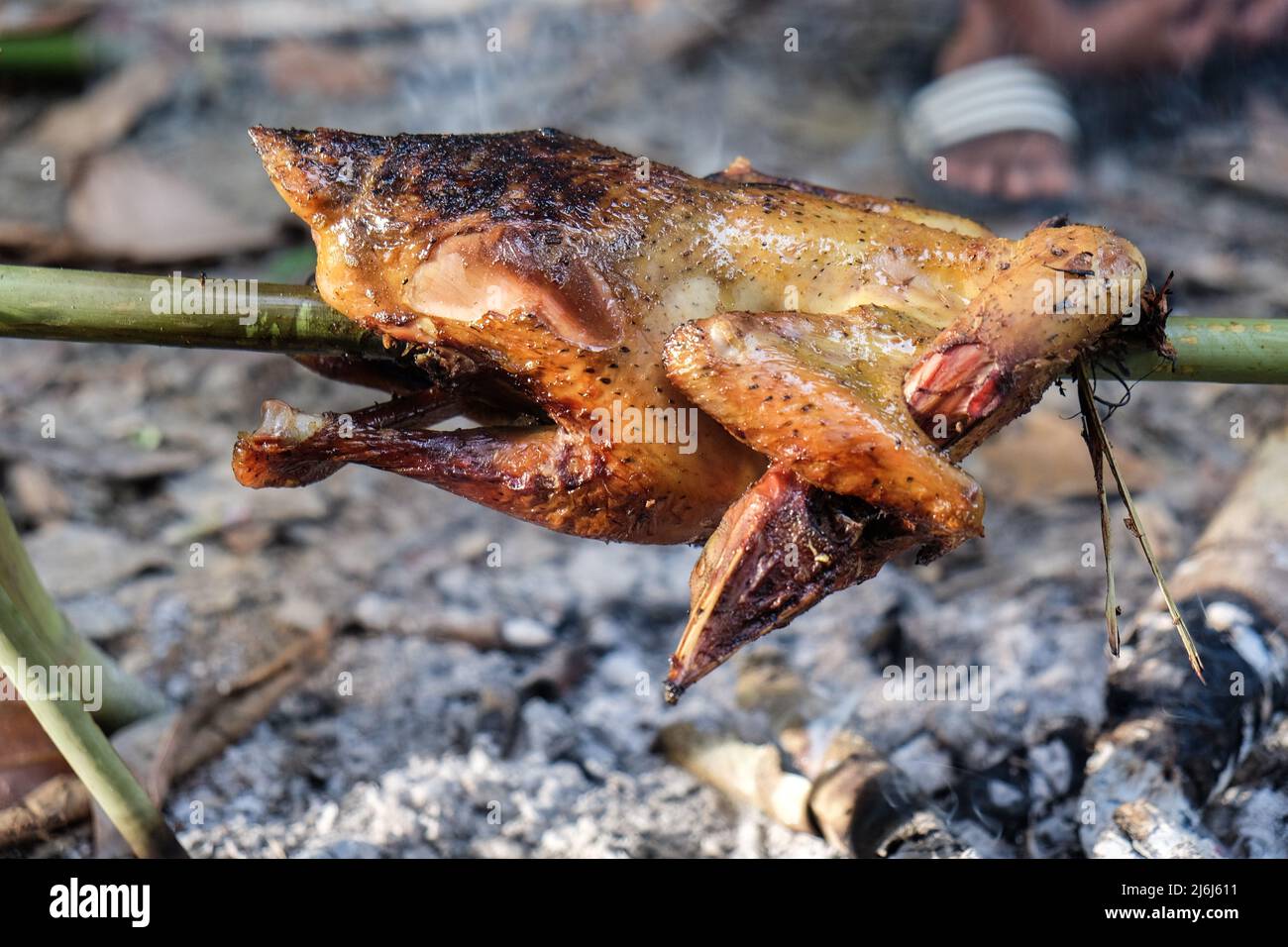 Chicken grilled on fire outdoor local camping forest with smoke Stock ...