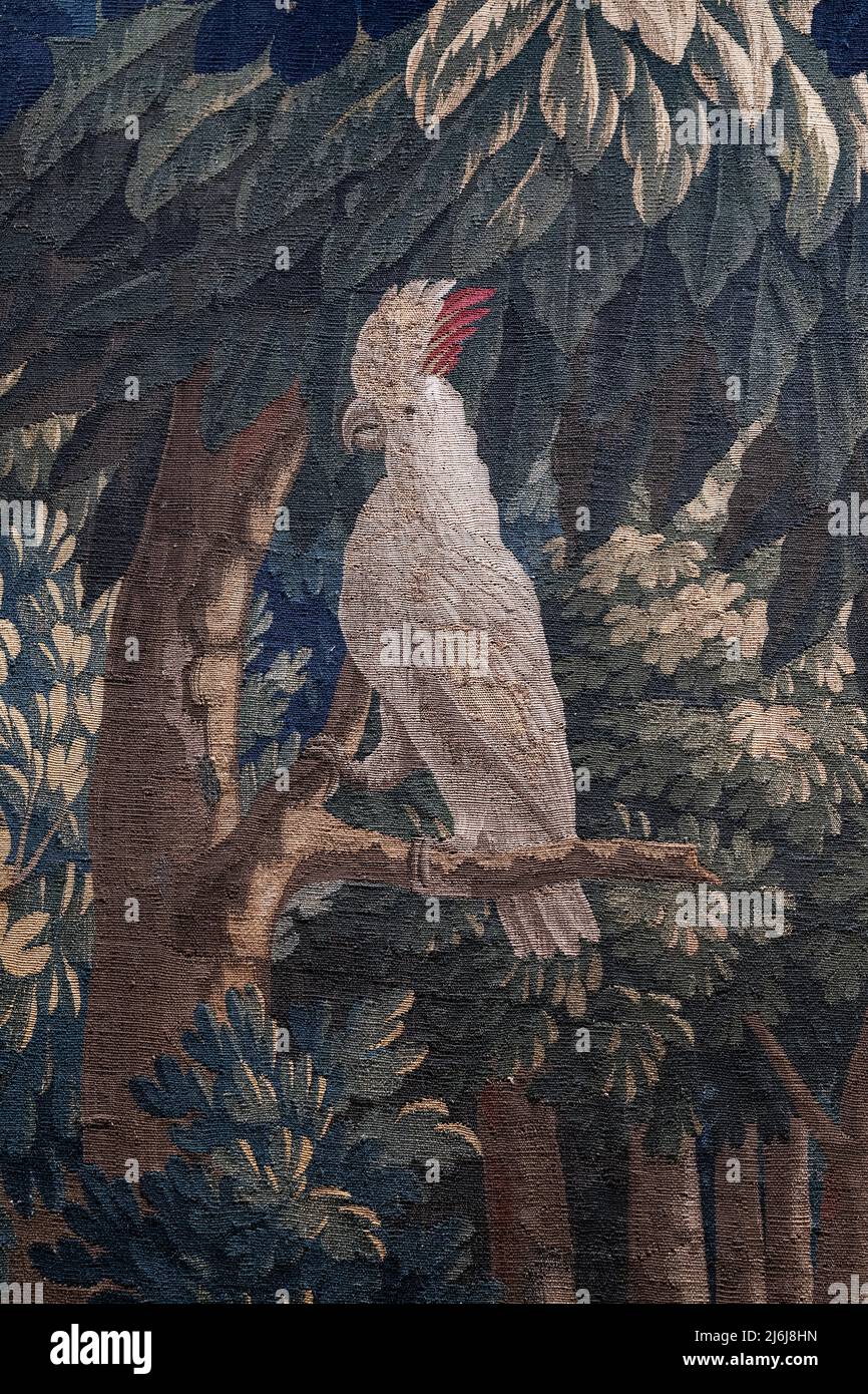 A Generic close crop of an ancient tapestry depicting a cockatoo parrot ...