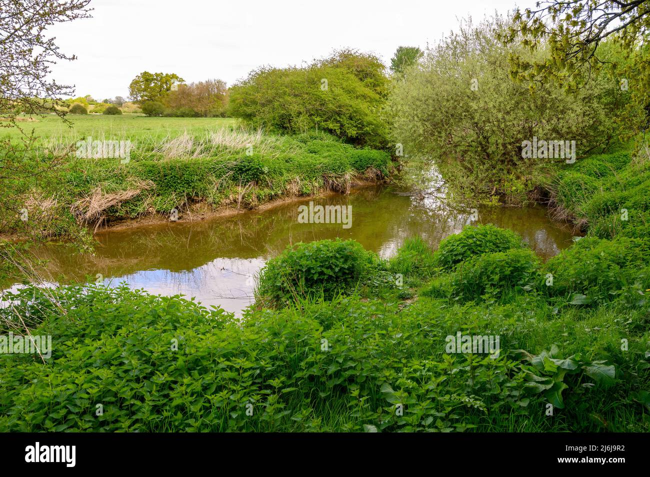 A narrow river Arun meanders through farmland and lush vegetation ...