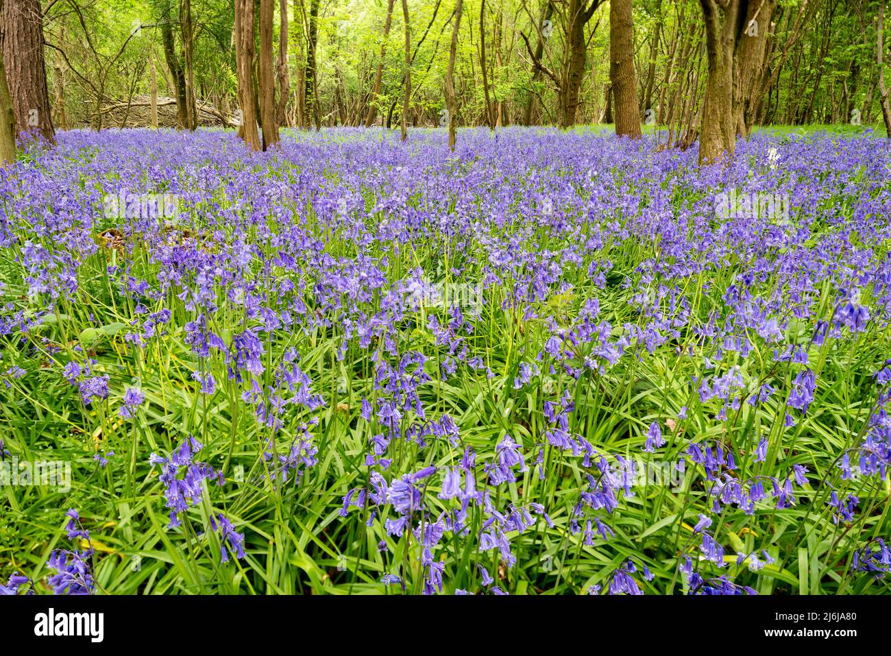 Indigenous reserves hi-res stock photography and images - Alamy