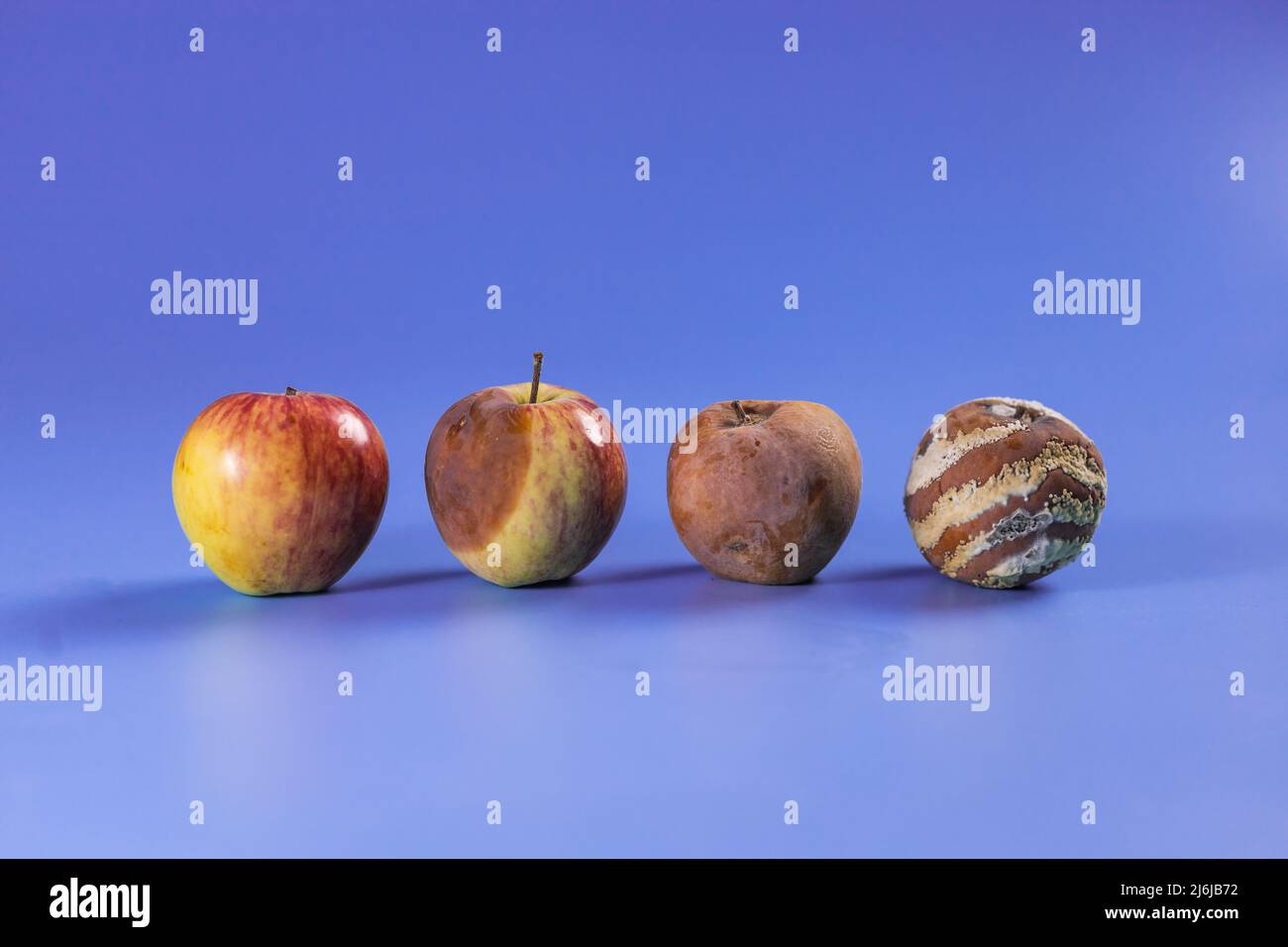 Apple with mold and fresh apple on violet background - mold growth and ...