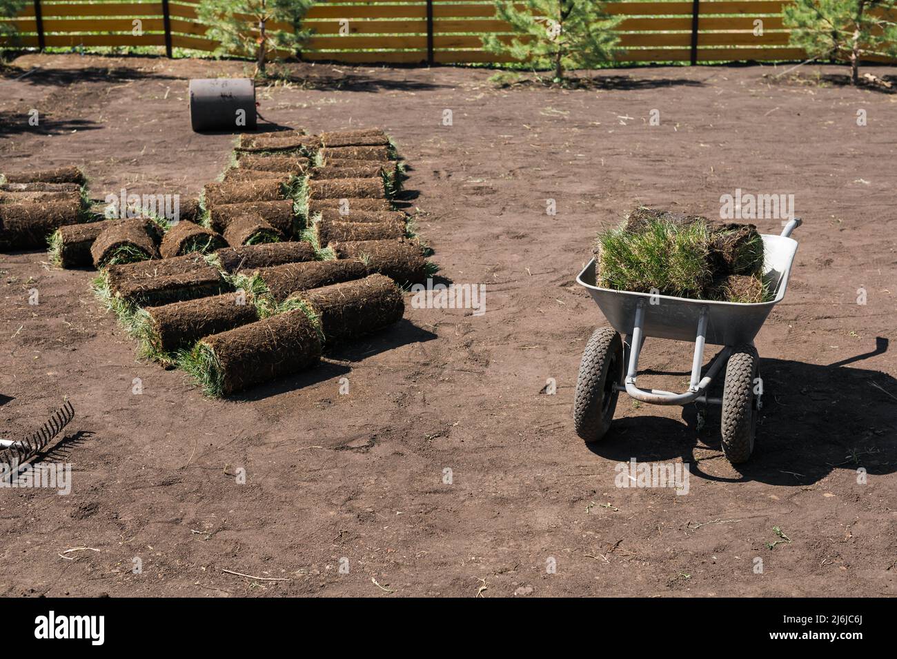 Laying sod for new garden lawn - turf laying concept Stock Photo - Alamy