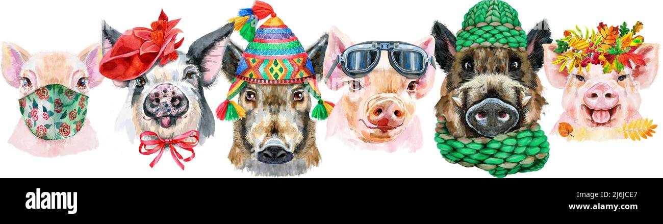 Cute border from watercolor portraits of pigs. Watercolor illustration ...