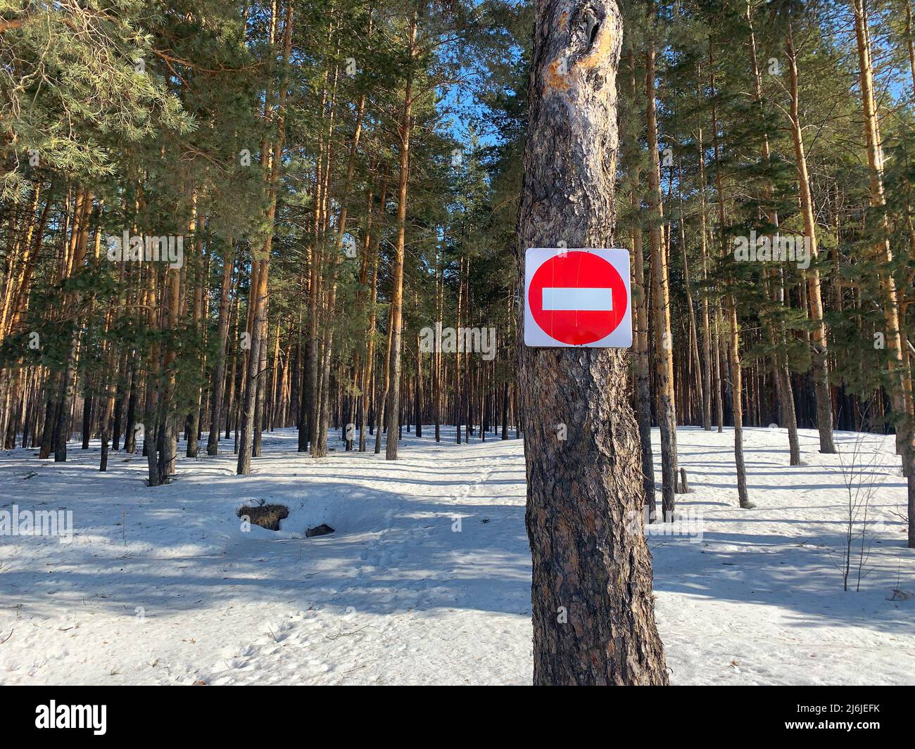 No entry sign on the tree in a forest Stock Photo - Alamy