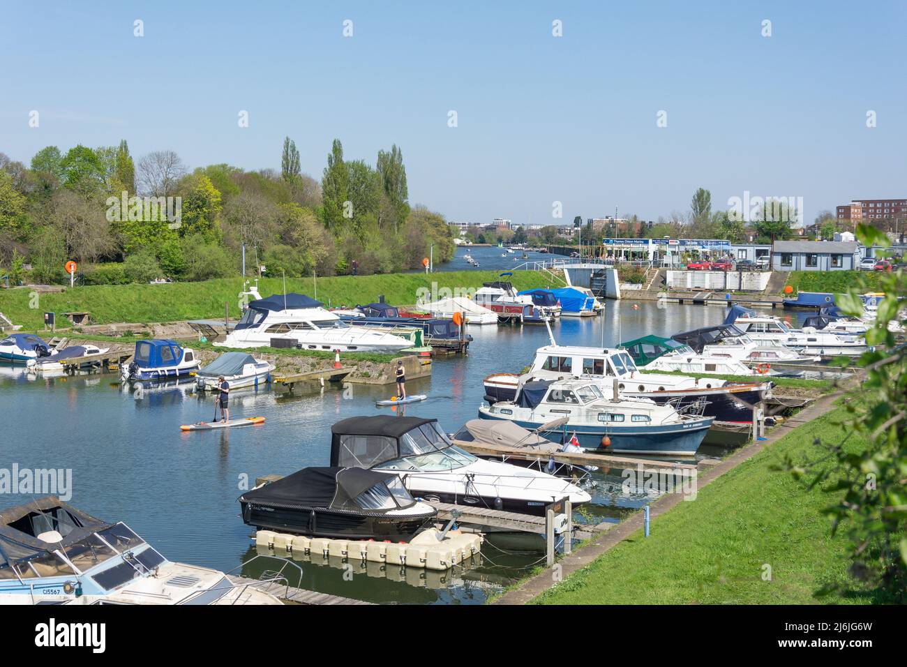 Boats moored in Thames Ditton Marina, Thames Ditton, Surrey, England ...