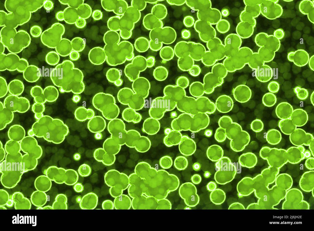 amazing creative green many biological living cells digital graphics ...