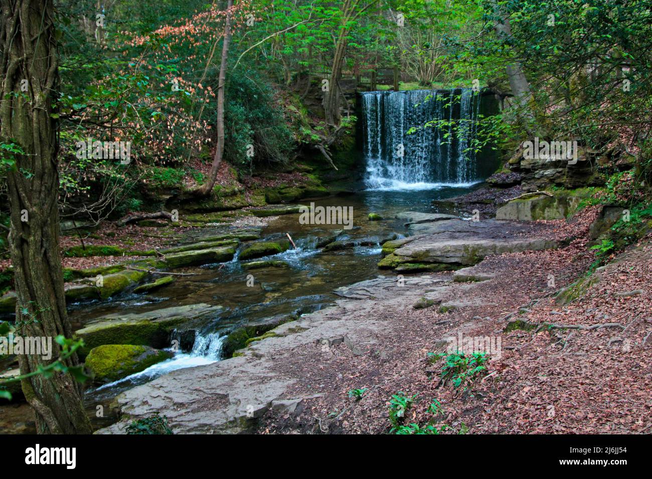 Plas Power Waterfall (Nant Mill and Bersham Waterfall), Plas Power ...