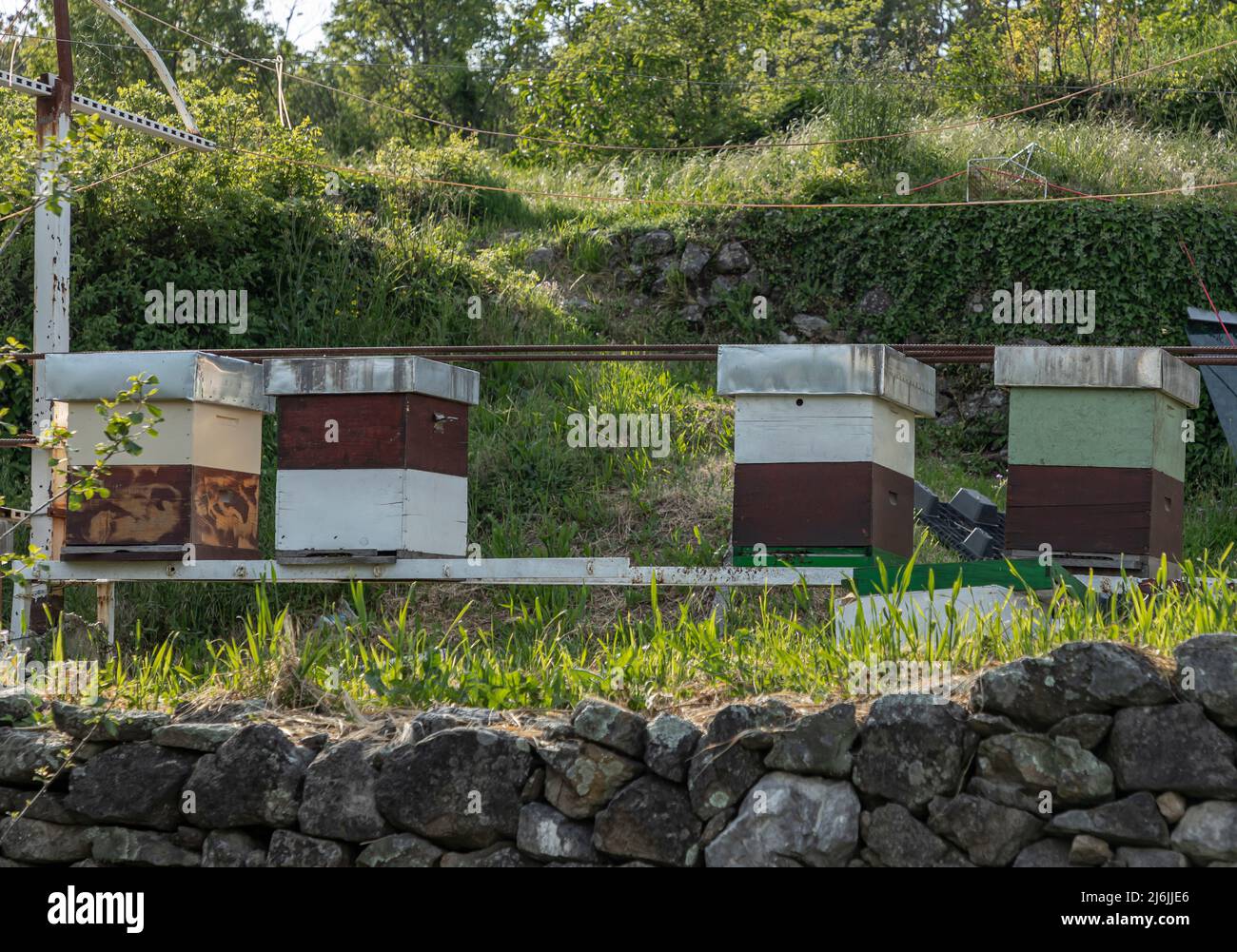 Home made populated bee hives outdoors in a row above a stone wall ...