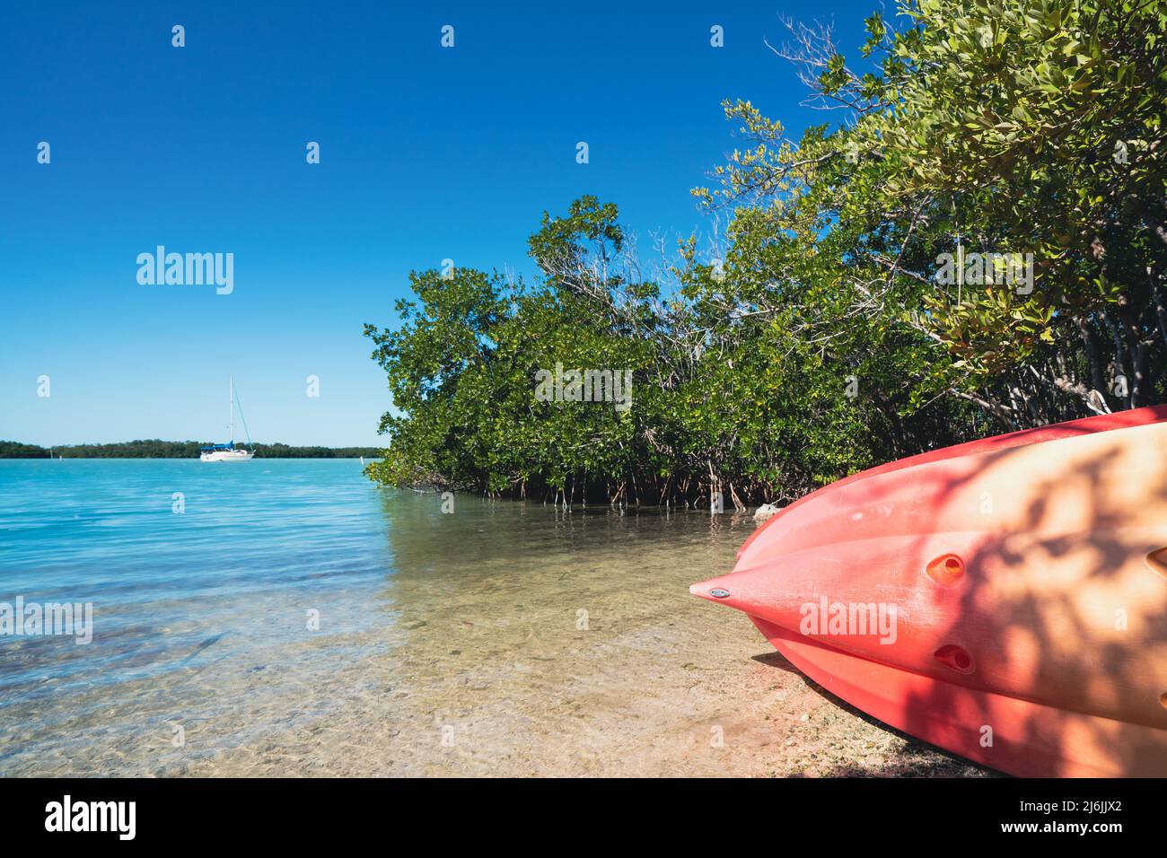 Kayak on the ocean in Islamorada, Florida Keys Stock Photo - Alamy
