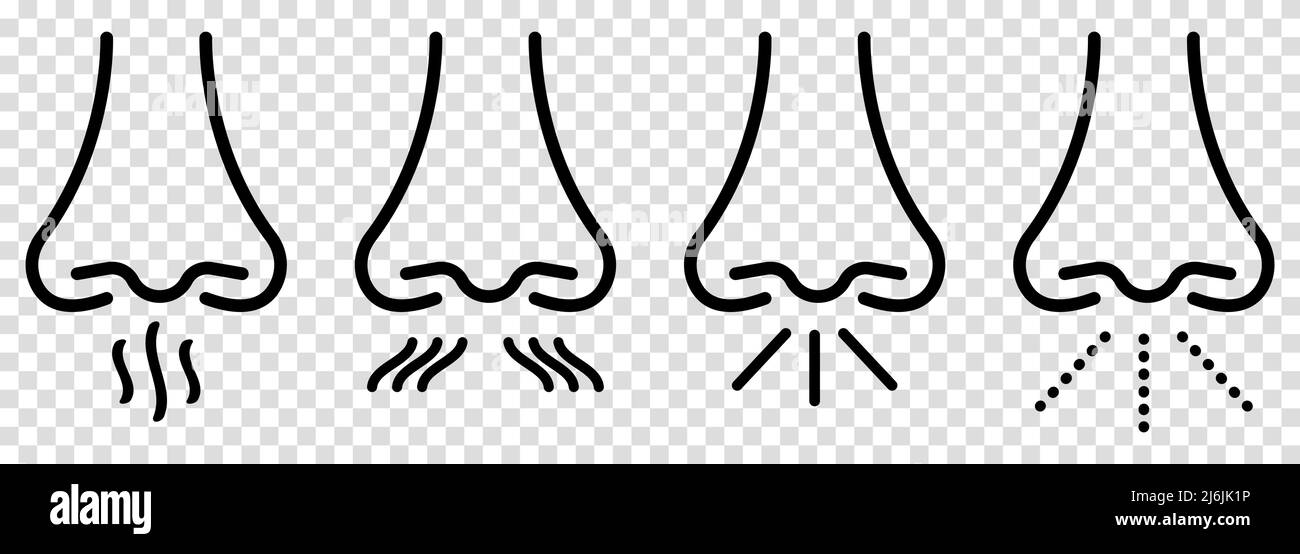 Nose icons. Human sense symbols. Vector illustration isolated on ...