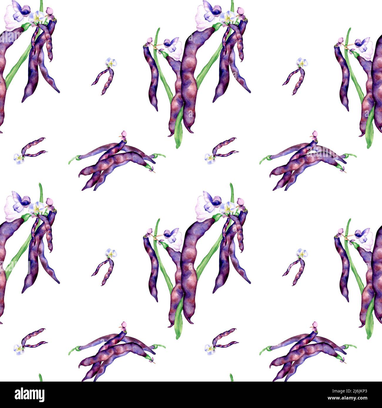 Plant black string beans, haricot watercolor seamless pattern isolated ...