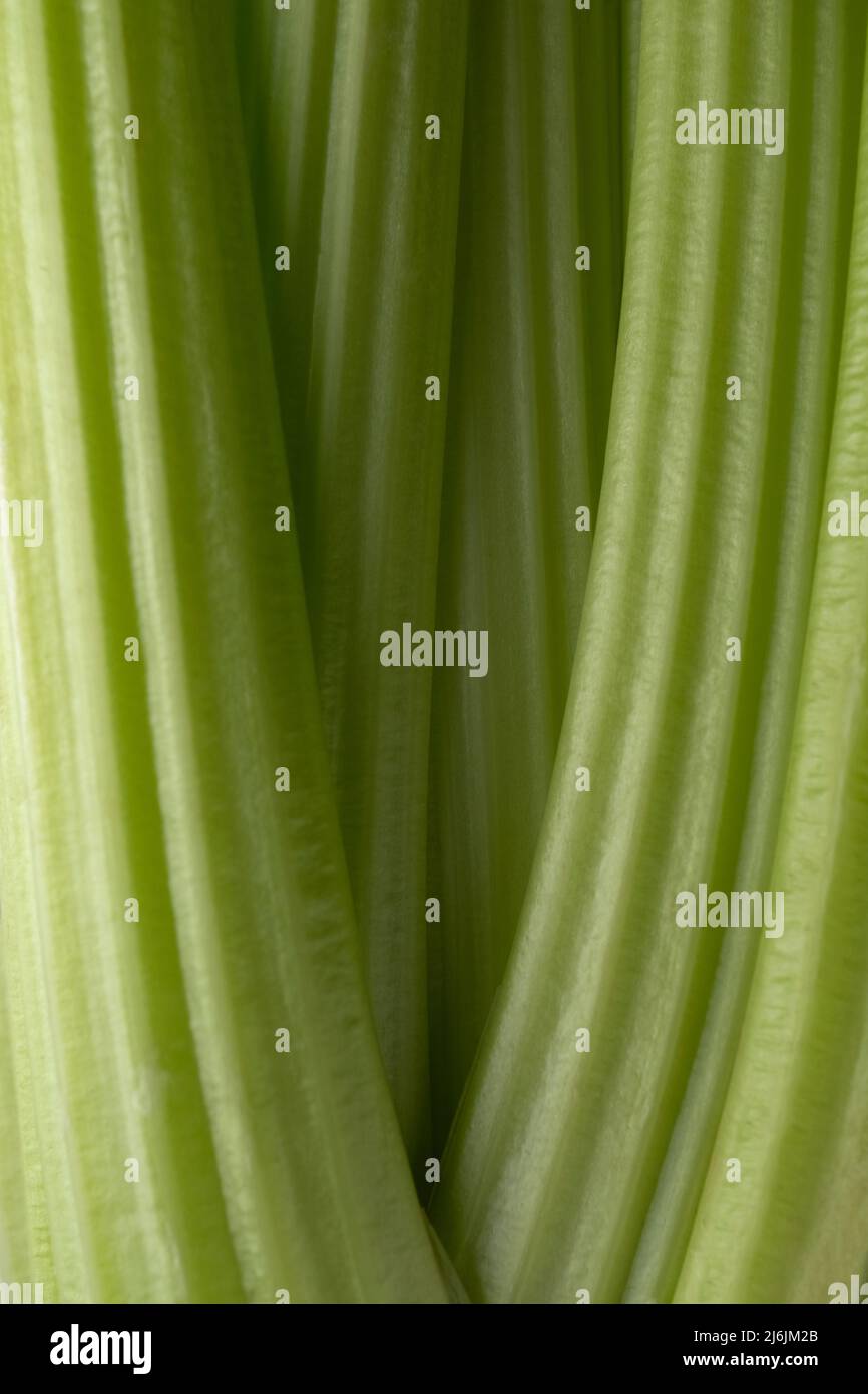 Design green celery texture hi-res stock photography and images - Alamy