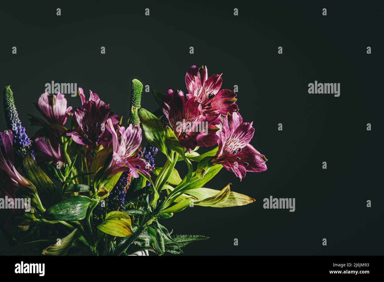 Purple flower bouquet in bloom with black pollen pistils close up still ...