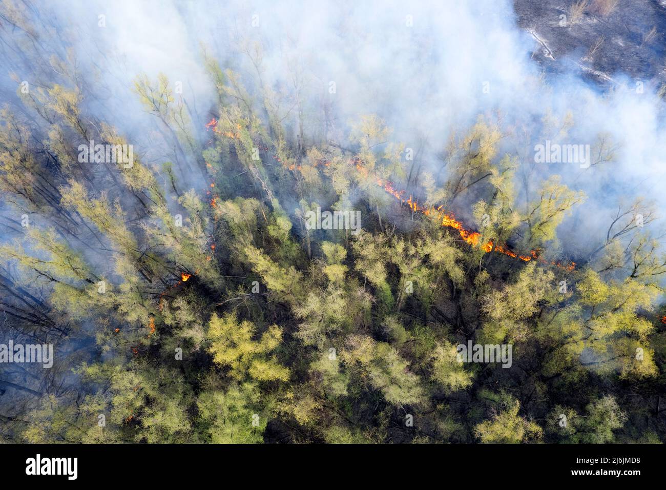The concept of forest fires. Burning forest top view aerial view. White ...