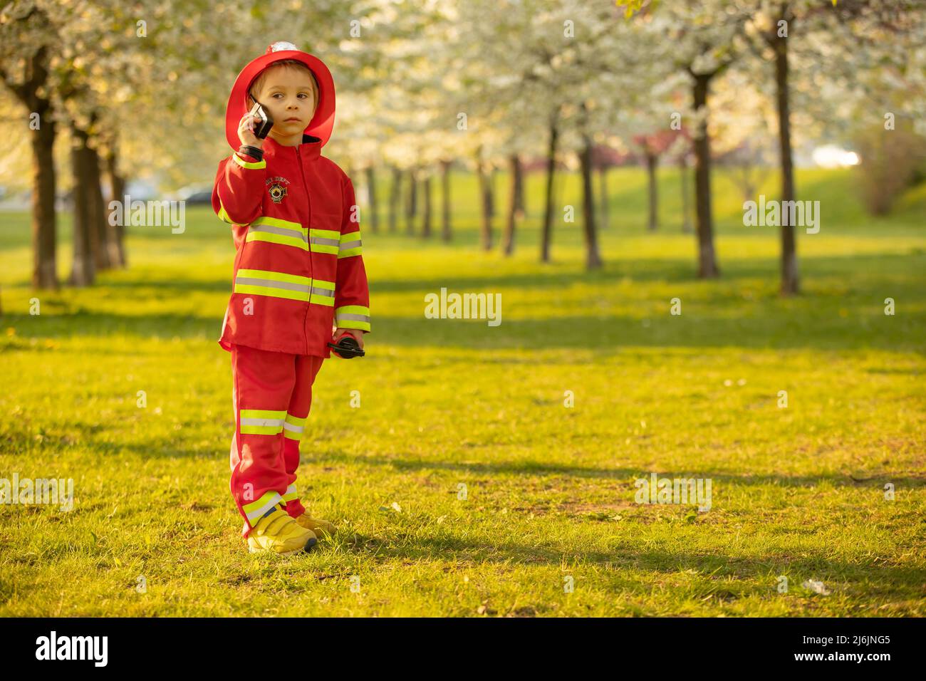 Fireman ladder tree hi-res stock photography and images - Alamy