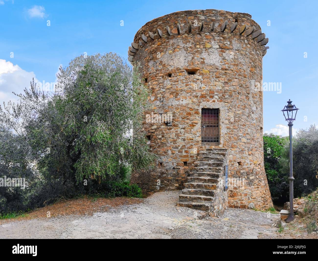 ancient Saracen tower with olive tree, travel reportage in Italy in the ...