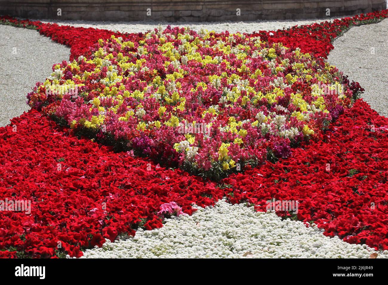 Flowers in the center of Athens Stock Photo - Alamy