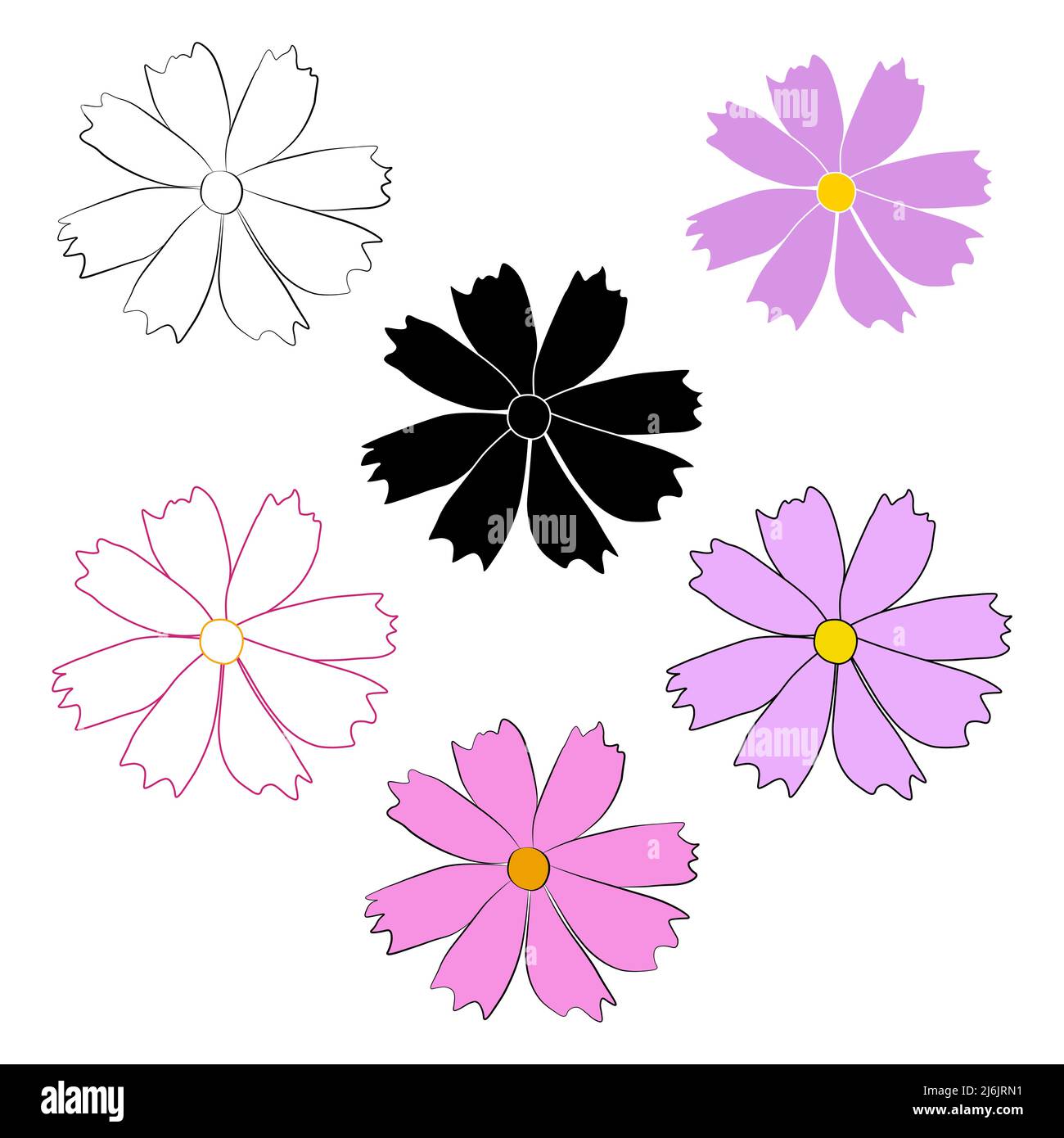 Set of cosmos flower branch vector illustration isolated on white ...