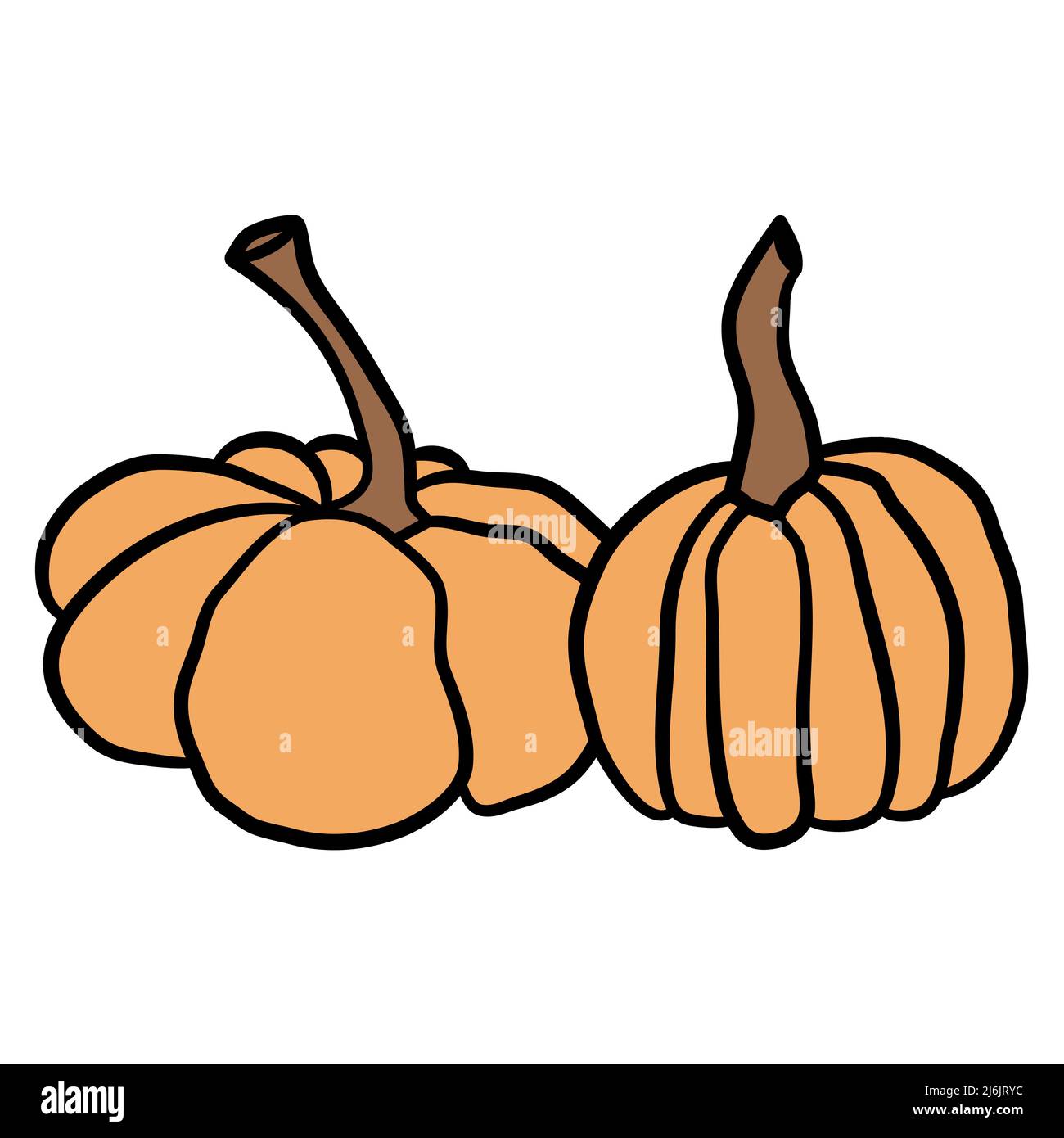Pumpkin icon vector illustration set. Autumn Halloween or Thanksgiving ...