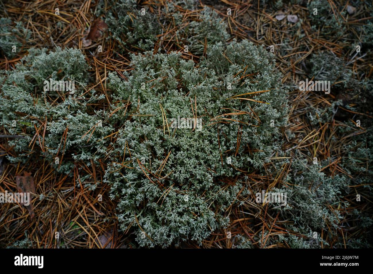 Loess texture hi-res stock photography and images - Alamy
