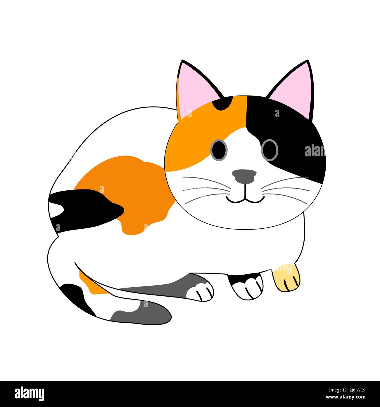 Sitting calico cat with white background Stock Photo - Alamy