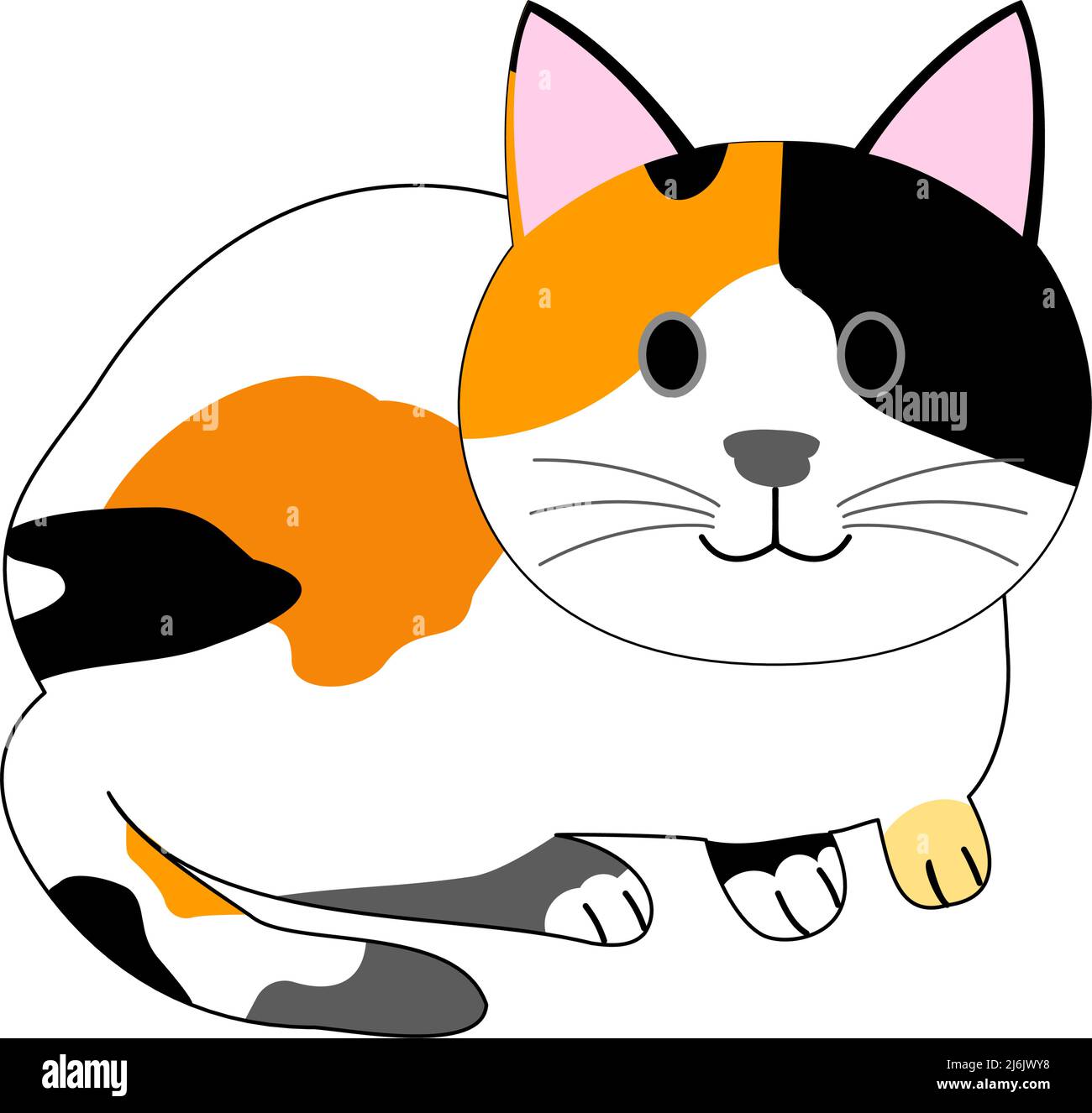 Sitting calico cat with white background Stock Photo - Alamy